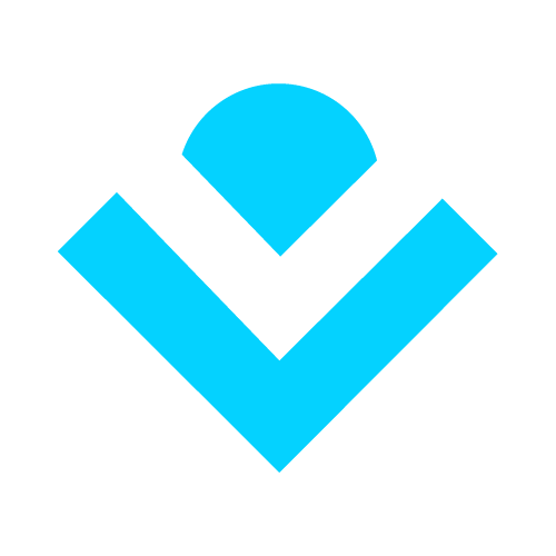 Terms & Conditions - New Ventures Group AG